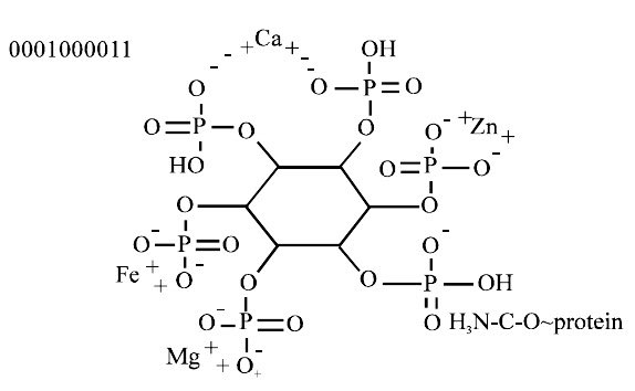 Understanding inositol How a sugar molecule that occurs naturally in ...