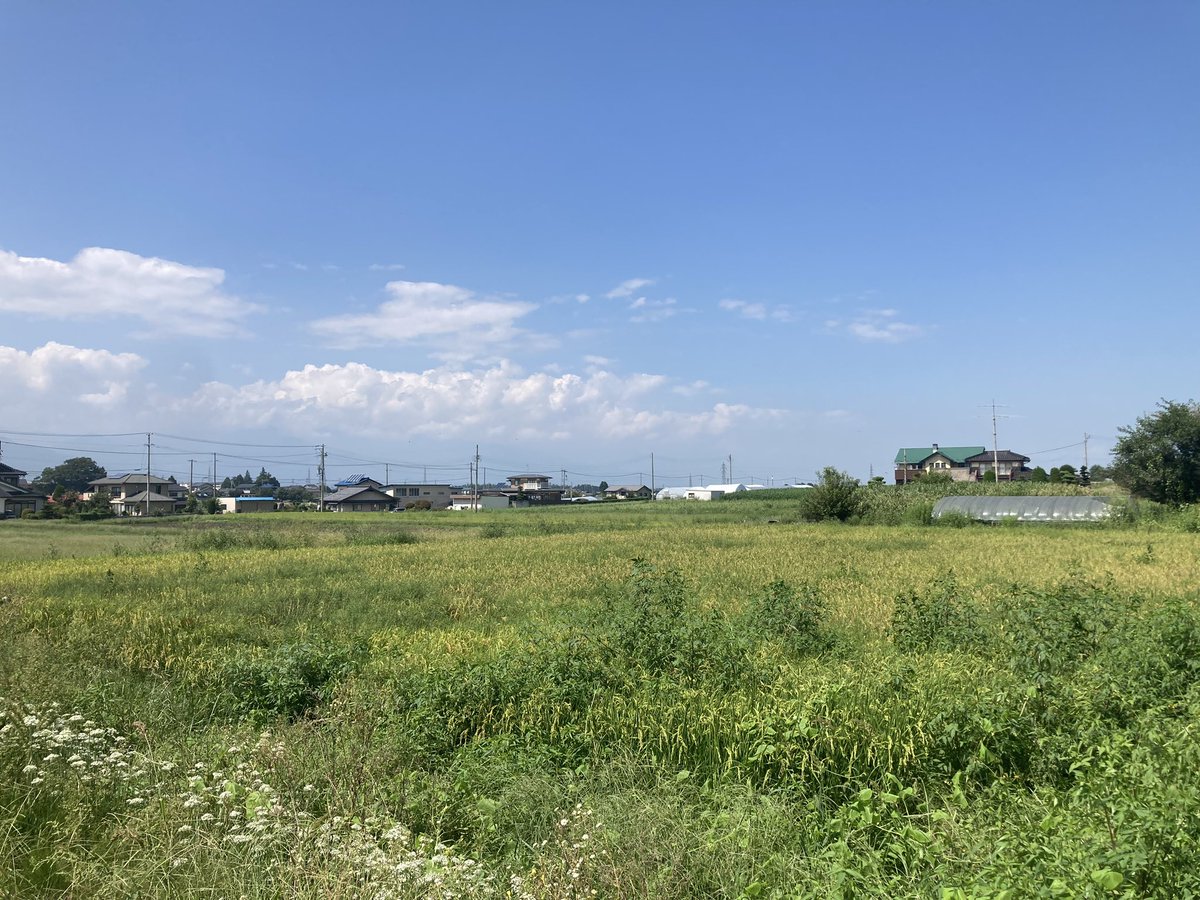 古籏一浩(@openspc) - Twilog (ツイログ)