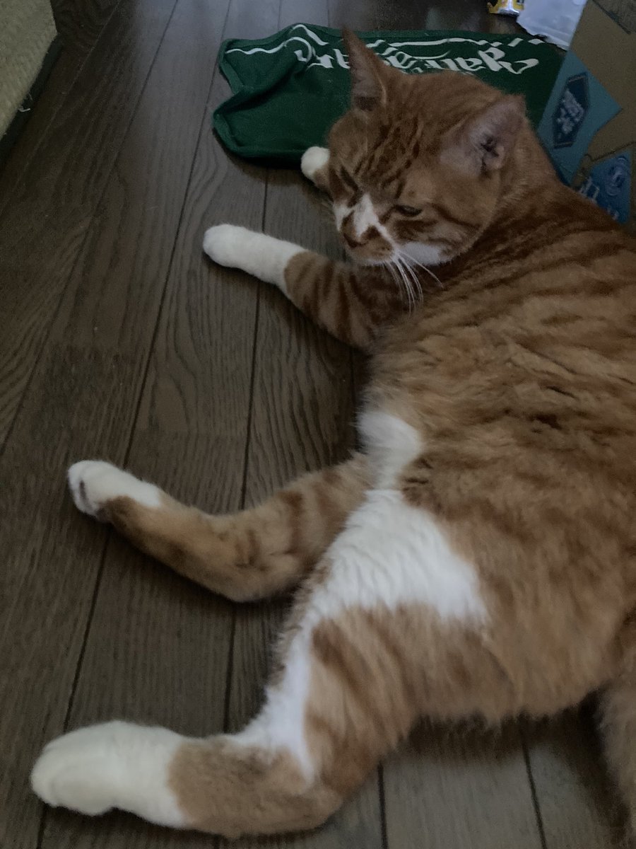 古籏一浩(@openspc) - Twilog (ツイログ)