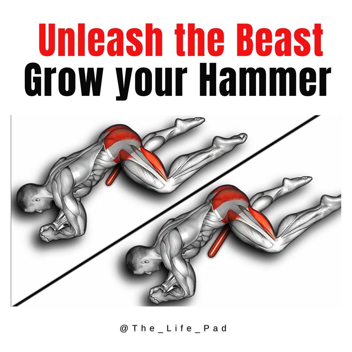 Do These 5 Kegel Exercises To Increase Your Dragon's STRENGTH! 🍆 100 ...