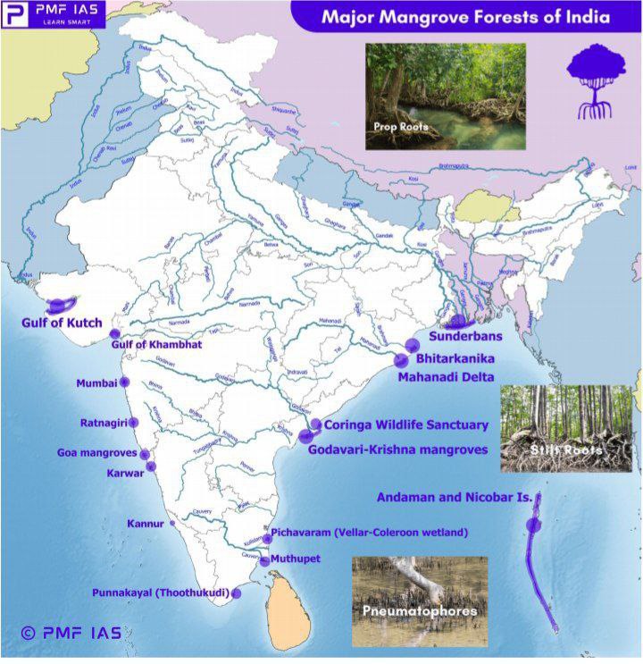 Mangrove Forests Map Resilient Planet Data Hub