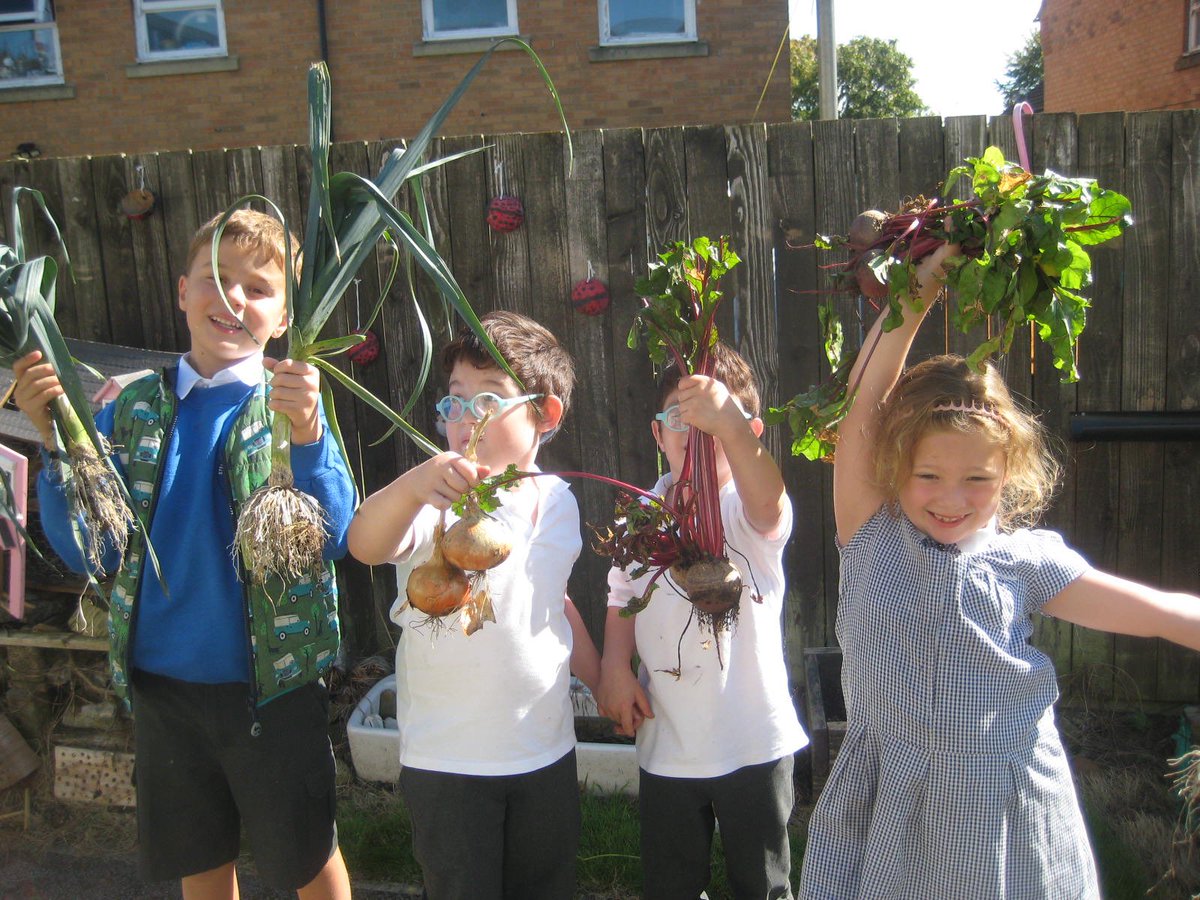 Welcome to Starbeck Primary Academy