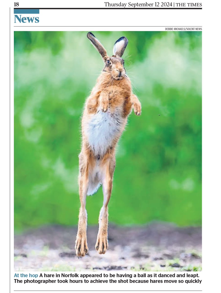 Solent Memes Pin By Joo On 멍충짤 | Best Memes, Memes, Funny