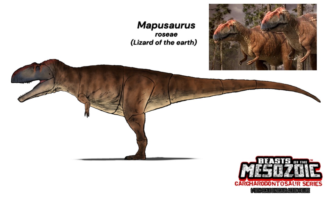Mapusaurus Roseae Por Kunfuzzledful Mapusaurus Roseae N. Gen., N. Sp.,