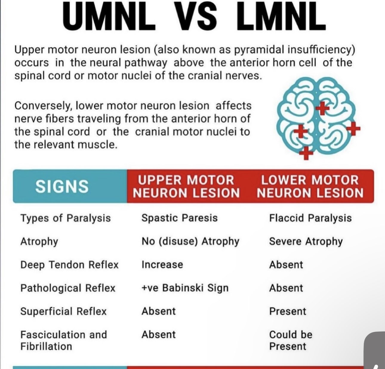 Lesions Of Upper Motor Neurons And Lower Motor Neurons