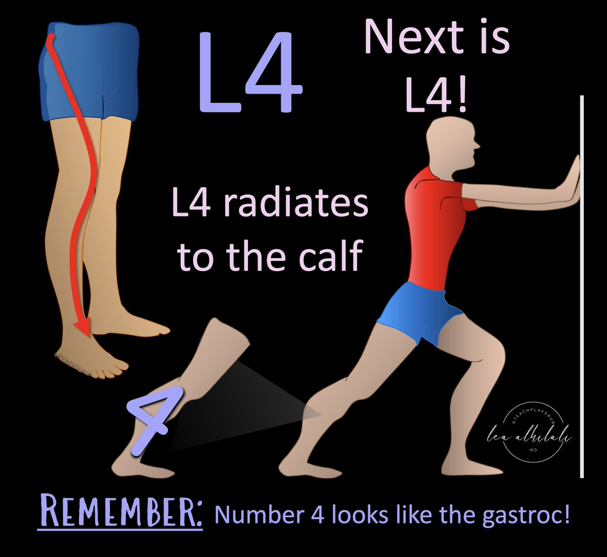 1/“Tell me where it hurts.” How back pain radiates can tell you where ...