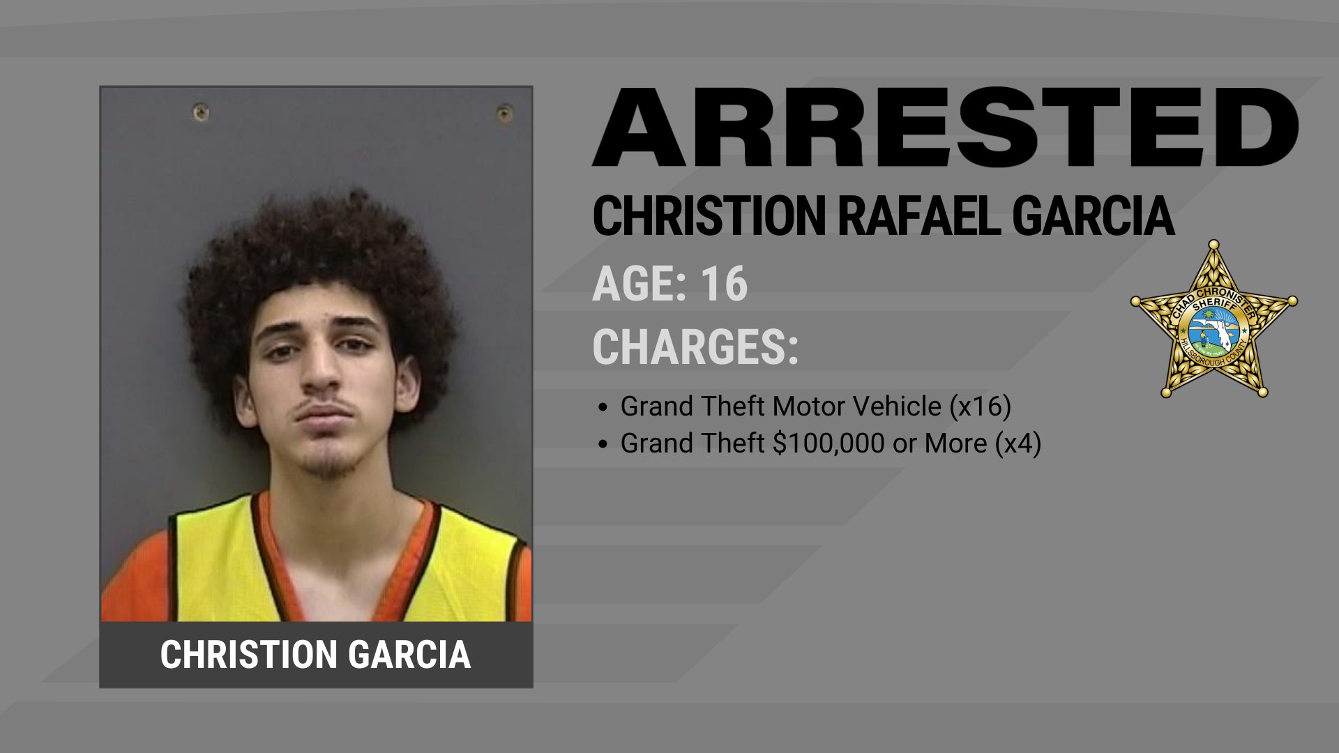 Hcso Arrest Inquiry View Photographs