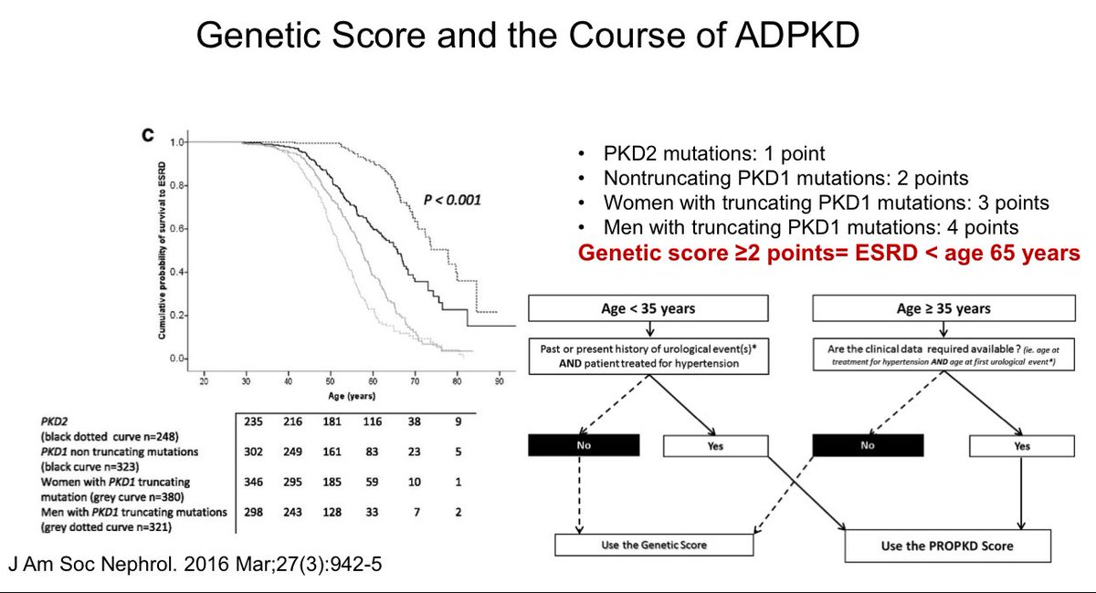 Summary of Autosomal dominant polycystic kidney disease (ADPKD) part1 # ...