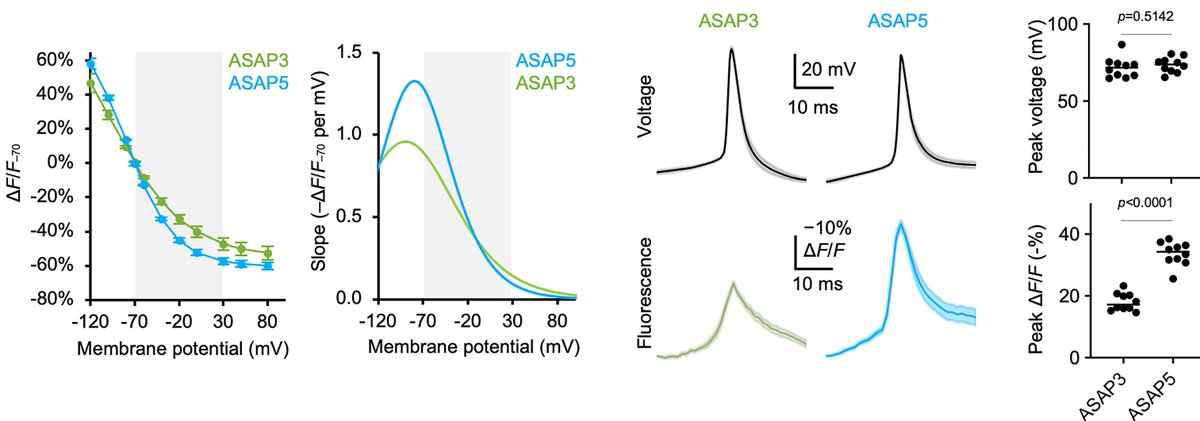 Thread by @MichaelLinLab on Thread Reader App – Thread Reader App