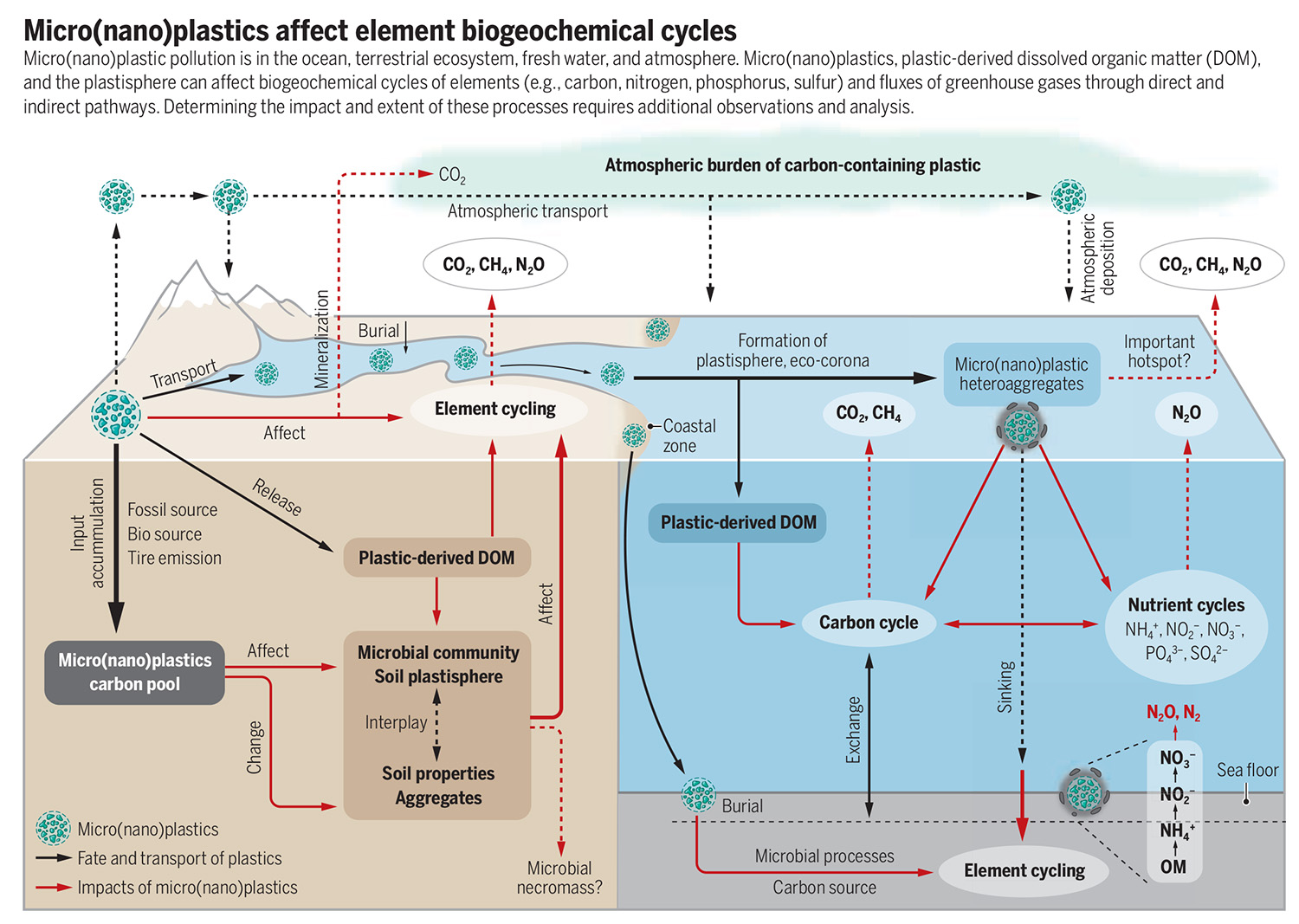 Biogeochemical Cycles