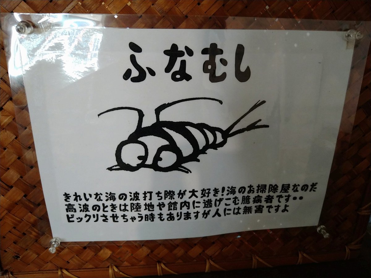 黒狐(@inaba_darkfox) - Twilog (ツイログ)