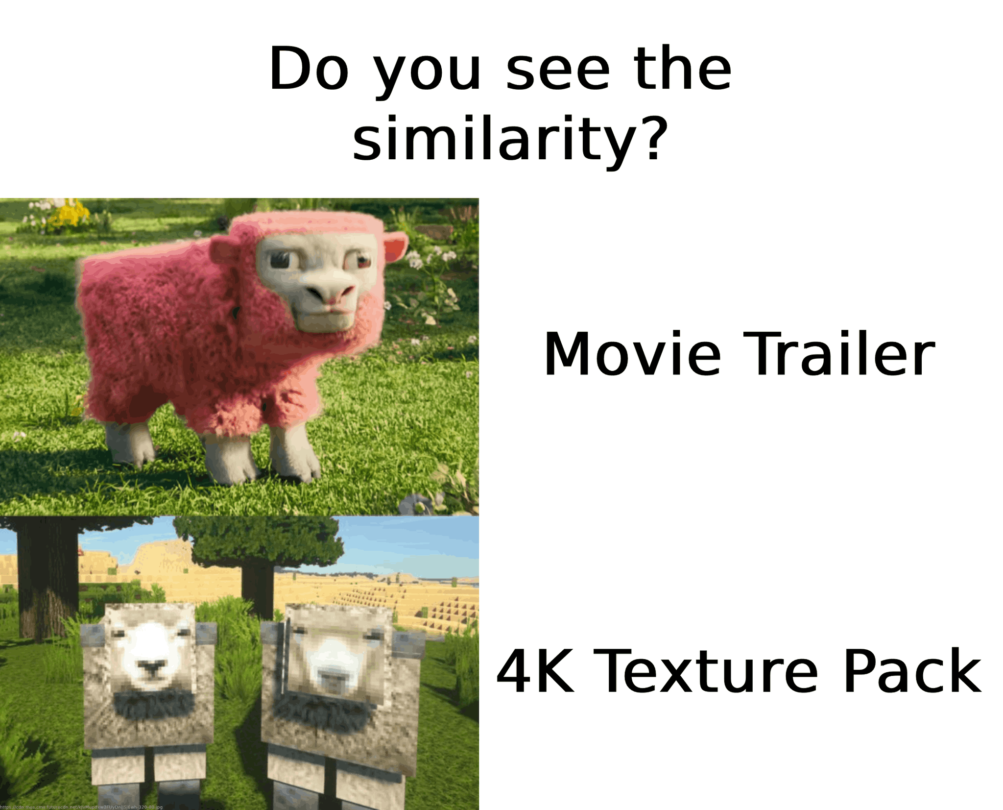 Minecraft Sheep Memes I Put The Minecraft Movie Trailer Sheep/Llama