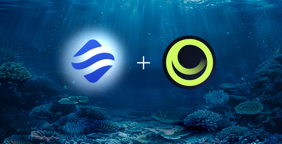 Swell Network upcoming launch, news and token information | CoinMarketCap