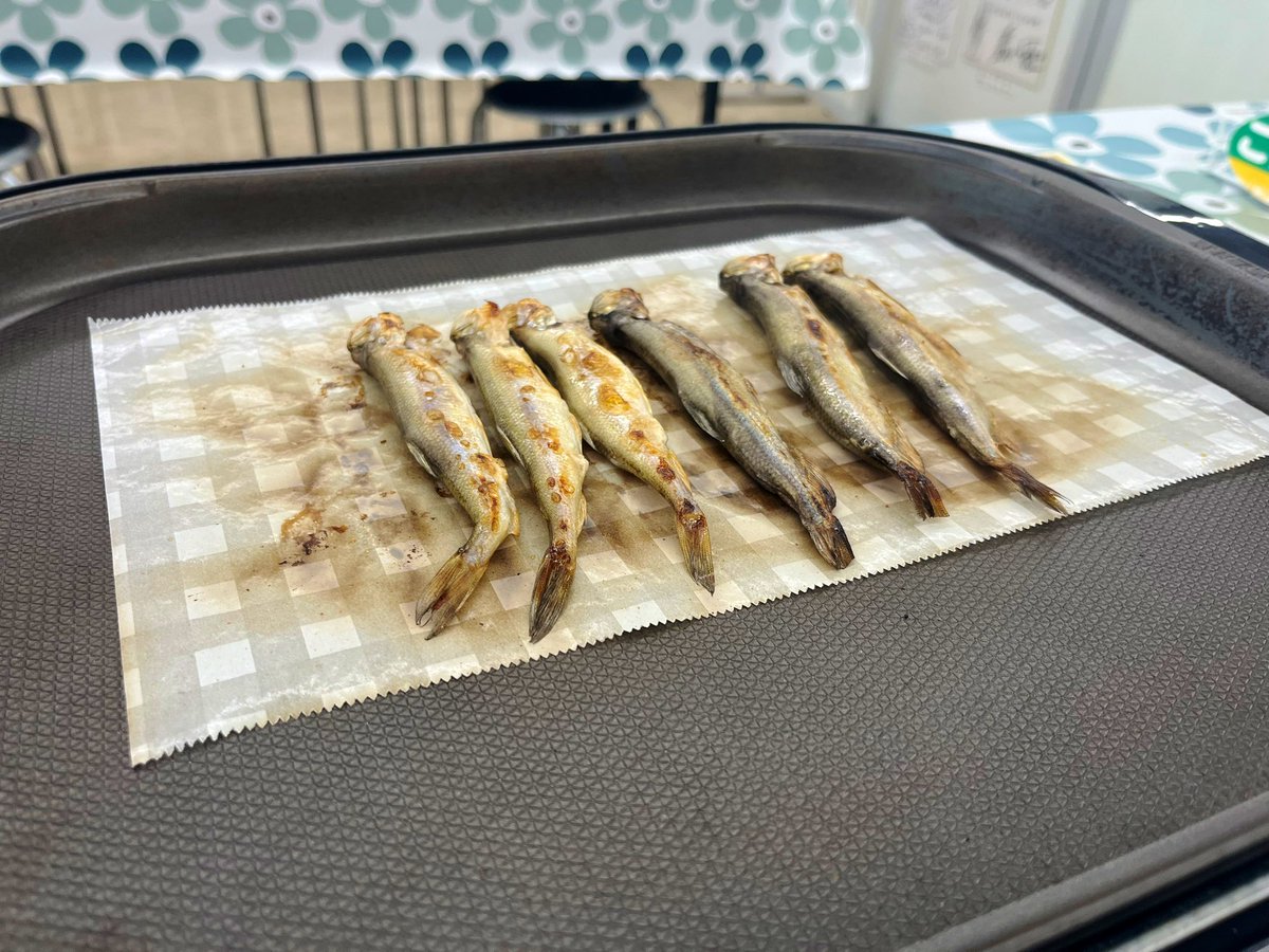 mtmt(@mtmtlife) - Twilog (ツイログ)