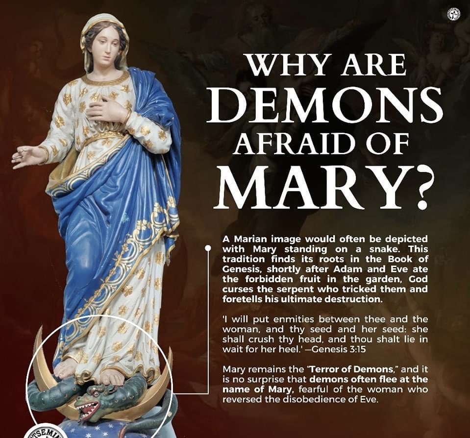 𝙒𝙃𝙔 𝘼𝙍𝙀 𝘿𝙀𝙈𝙊𝙉𝙎 𝘼𝙁𝙍𝘼𝙄𝘿 𝙊𝙁 𝙈𝘼𝙍𝙔? Today, we celebrate the memorial of the ...