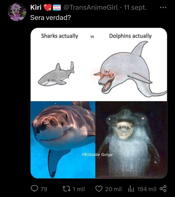 Evil Dolphin Memes