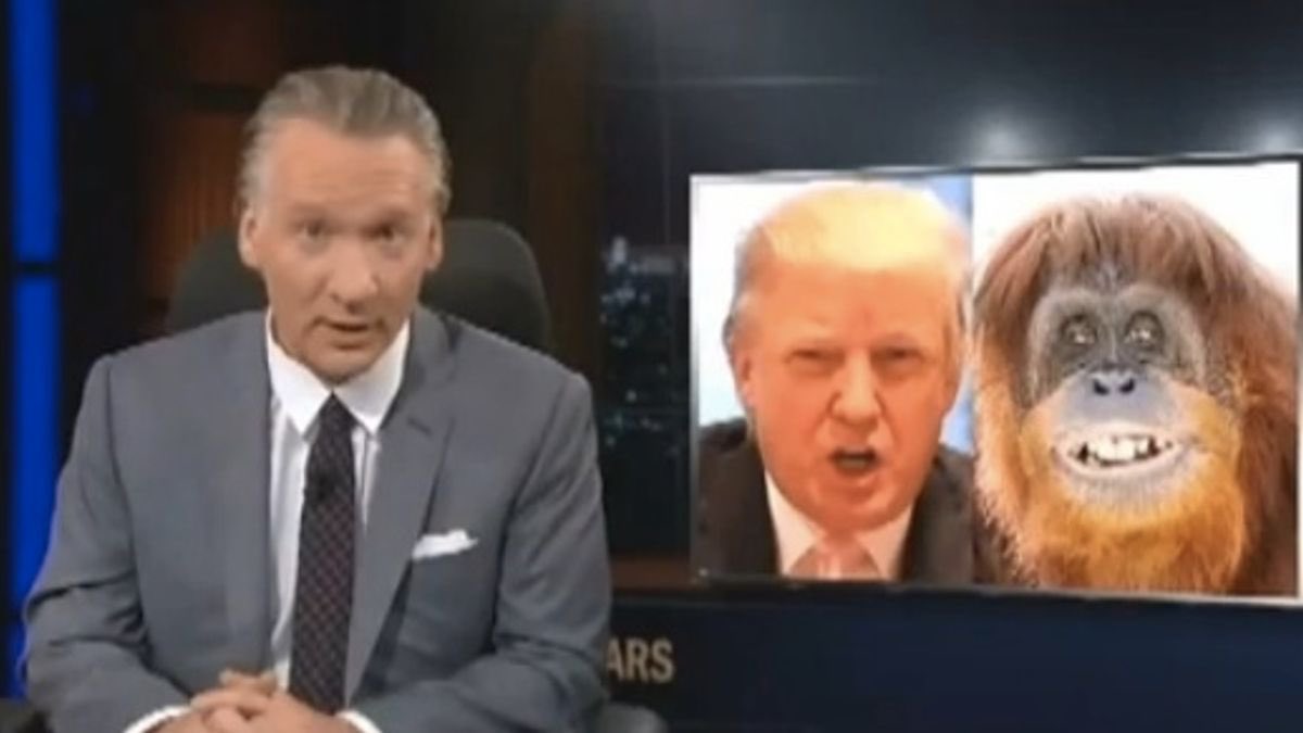 Monkey mayhem as dozens of primates escape South Carolina research ...