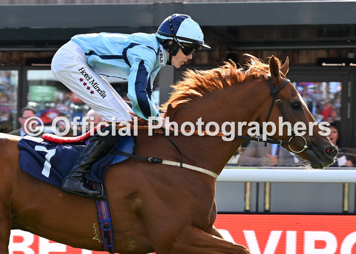 David O'Meara Racing | Racehorse Trainer in York | Get your heart racing!