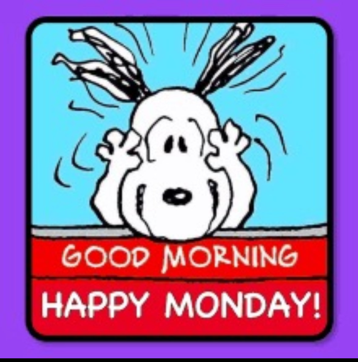 Happy Monday Morning Funny