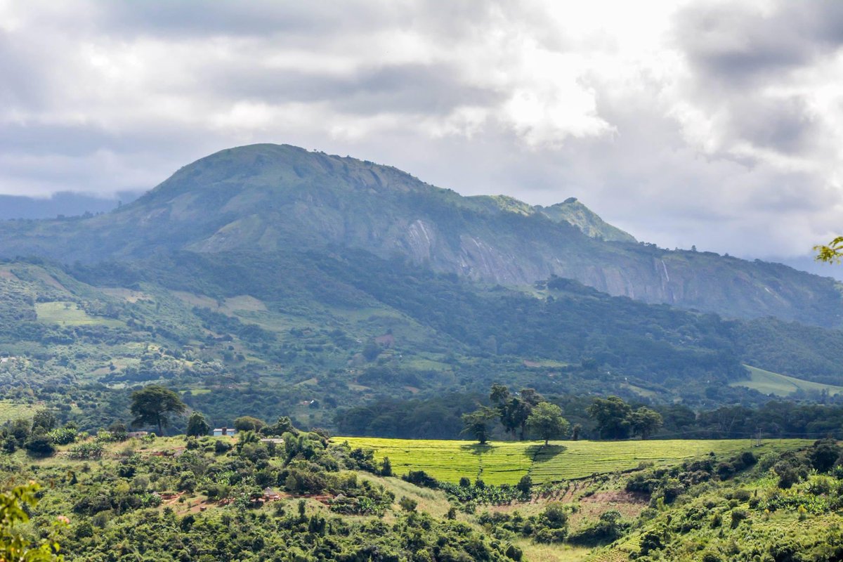 The Grand Tour Started In Honde Valley, Zimbabwe - Things You Need to ...