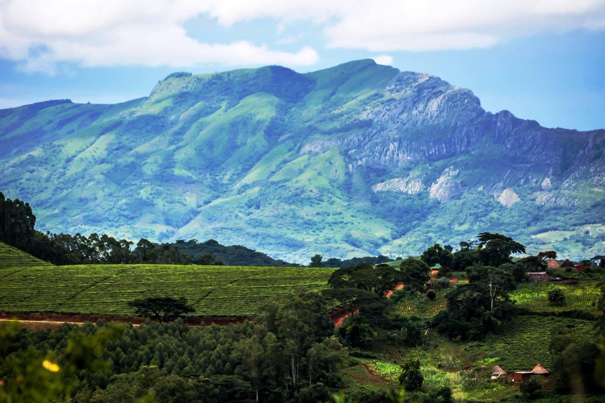 The Grand Tour Started In Honde Valley, Zimbabwe - Things You Need to ...