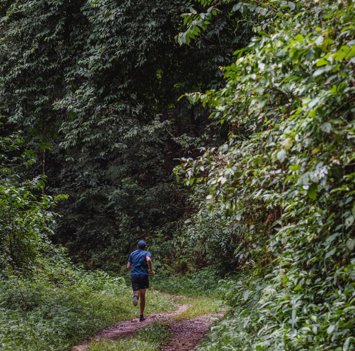 The Grand Tour Started In Honde Valley, Zimbabwe - Things You Need to ...