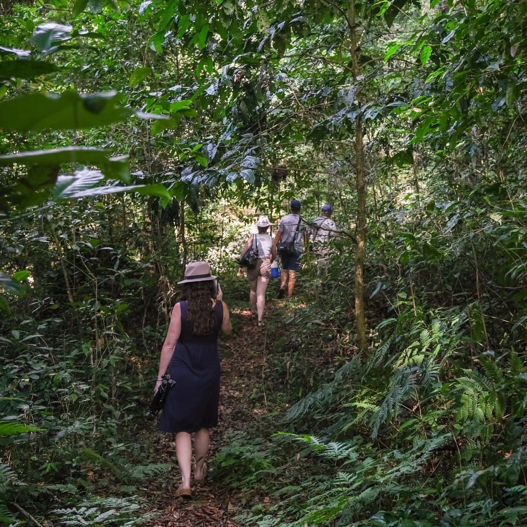 The Grand Tour Started In Honde Valley, Zimbabwe - Things You Need to ...