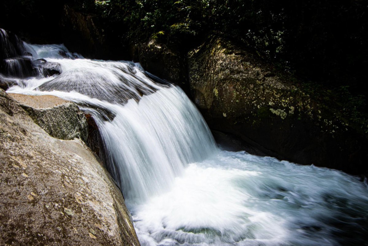 Pk (@Pk_hvs) - Pk | Rattibha