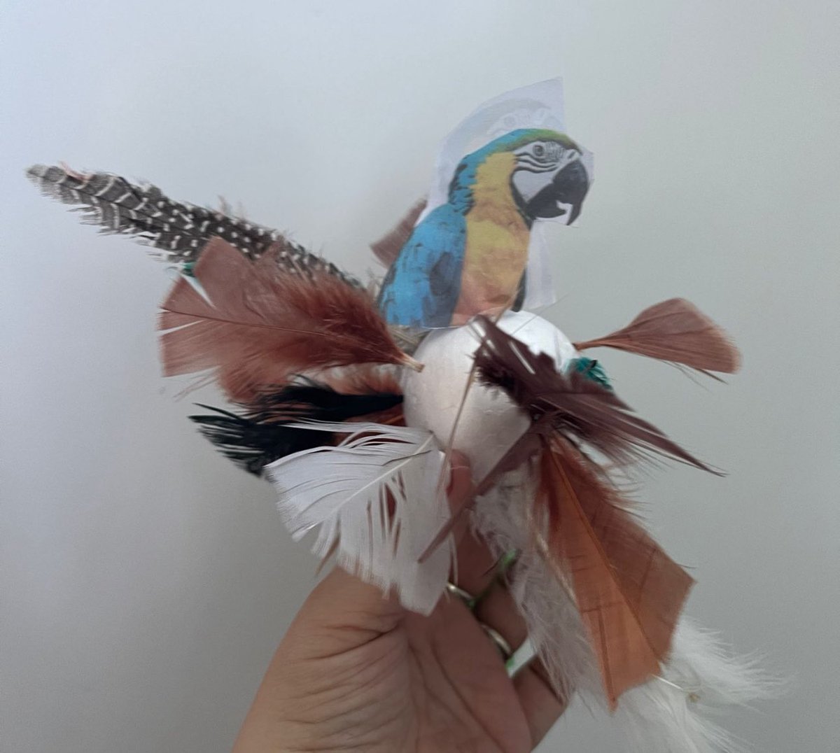 Elements Academy - Elements Academy