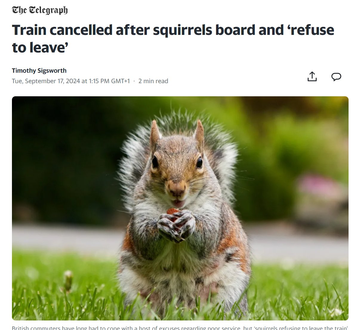 Poor Squirrel Memes