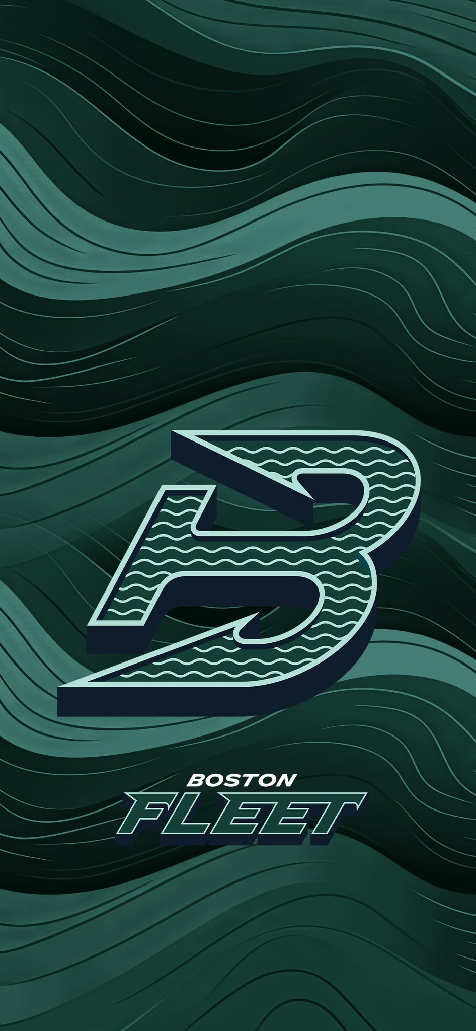 Fleet Logo Copy Negative, Of The Logo For The New Fleet Imaging