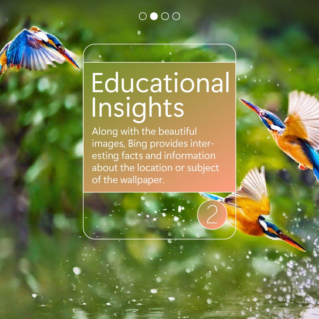 Bing Inspirational Quotes Fu*k Your Life Bing Bong Coney Island