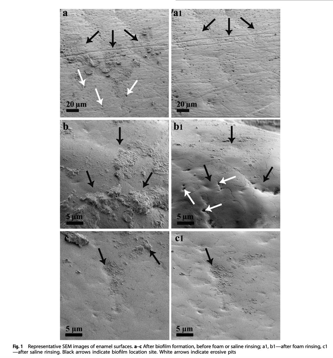 The most incredible healing food on the planet has been BANNED. It is a ...