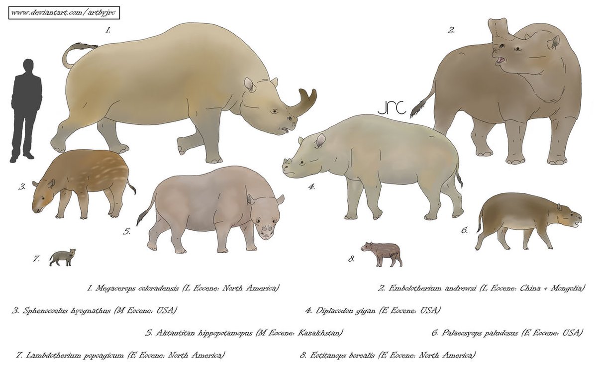 Embolotherium Andrewsi