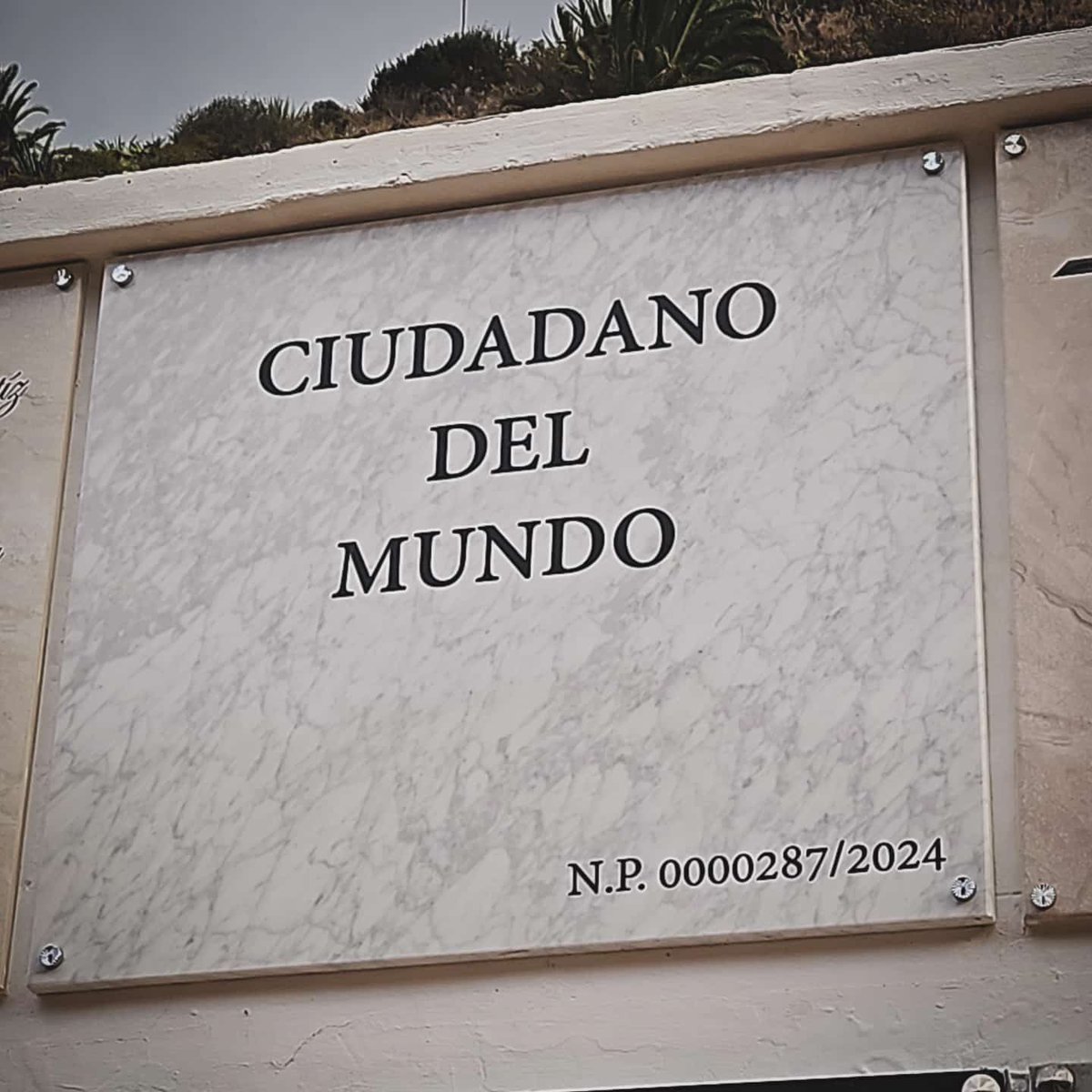 Memes Del Naufrago J:Pi).