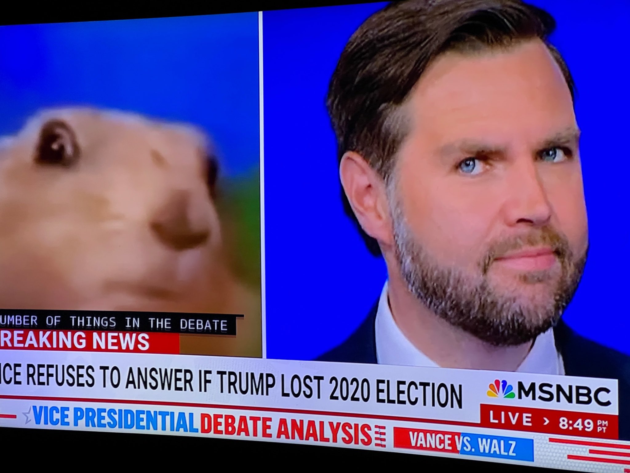 Angry Chipmunk Memes