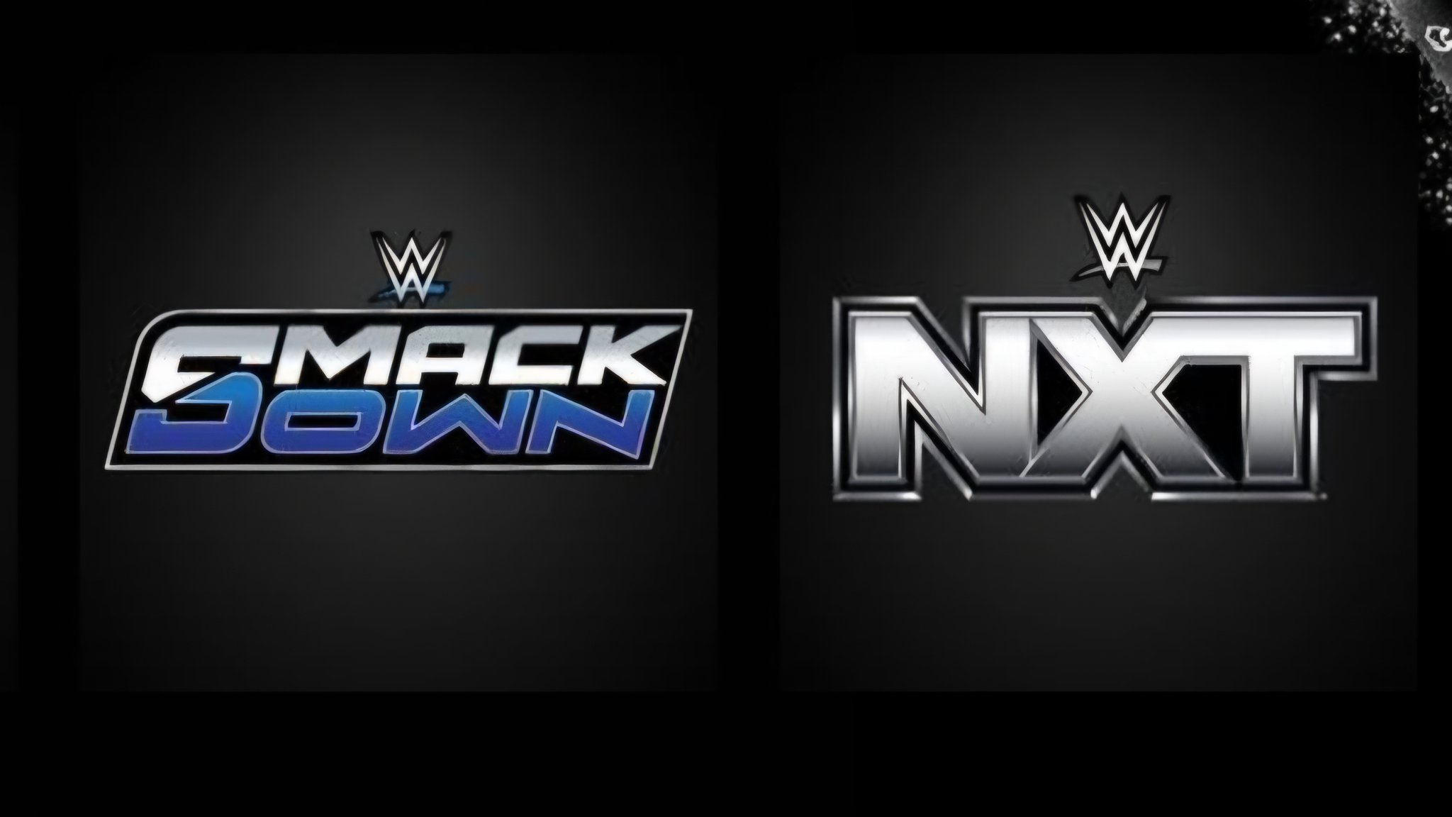 Smack Down Vs Raw Logo Vtg WWE Smackdown Vs Raw Supershow Shirt XL