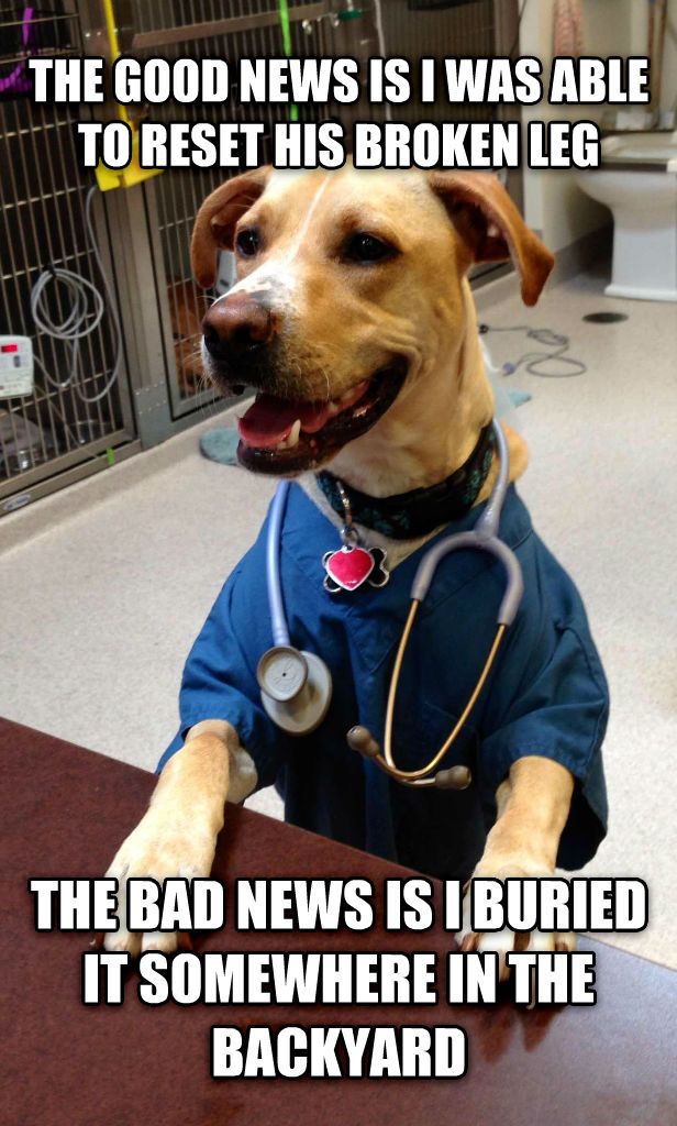 Dog Doctor Memes I Has A Hotdog Doctor Funny Dog Pictures | Dog