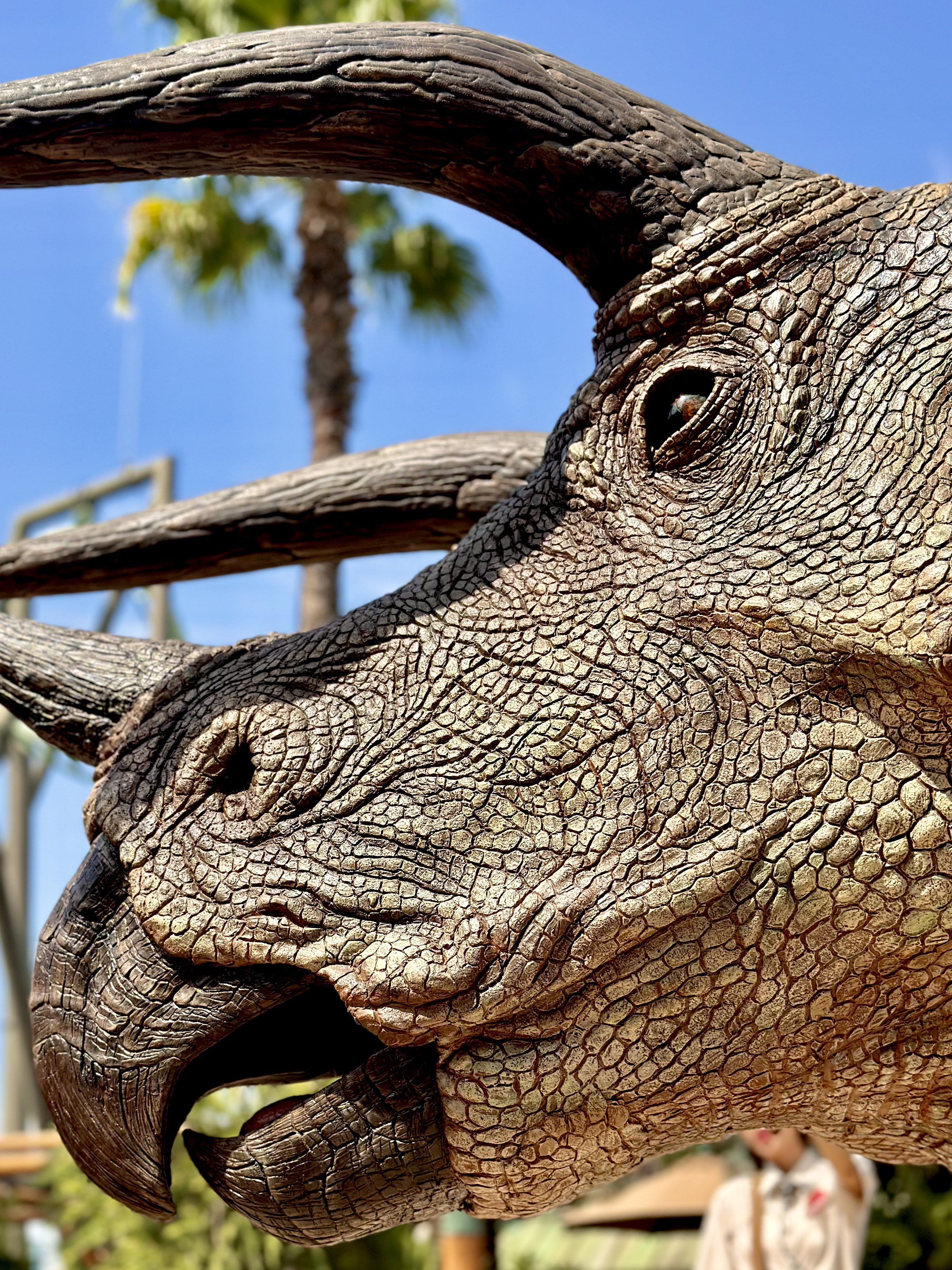 SF・ファンタジー・ホラー Dino Dream RAPTORS - SF SF・ファンタジー・ホラー Dino Dream RAPTORS - SF