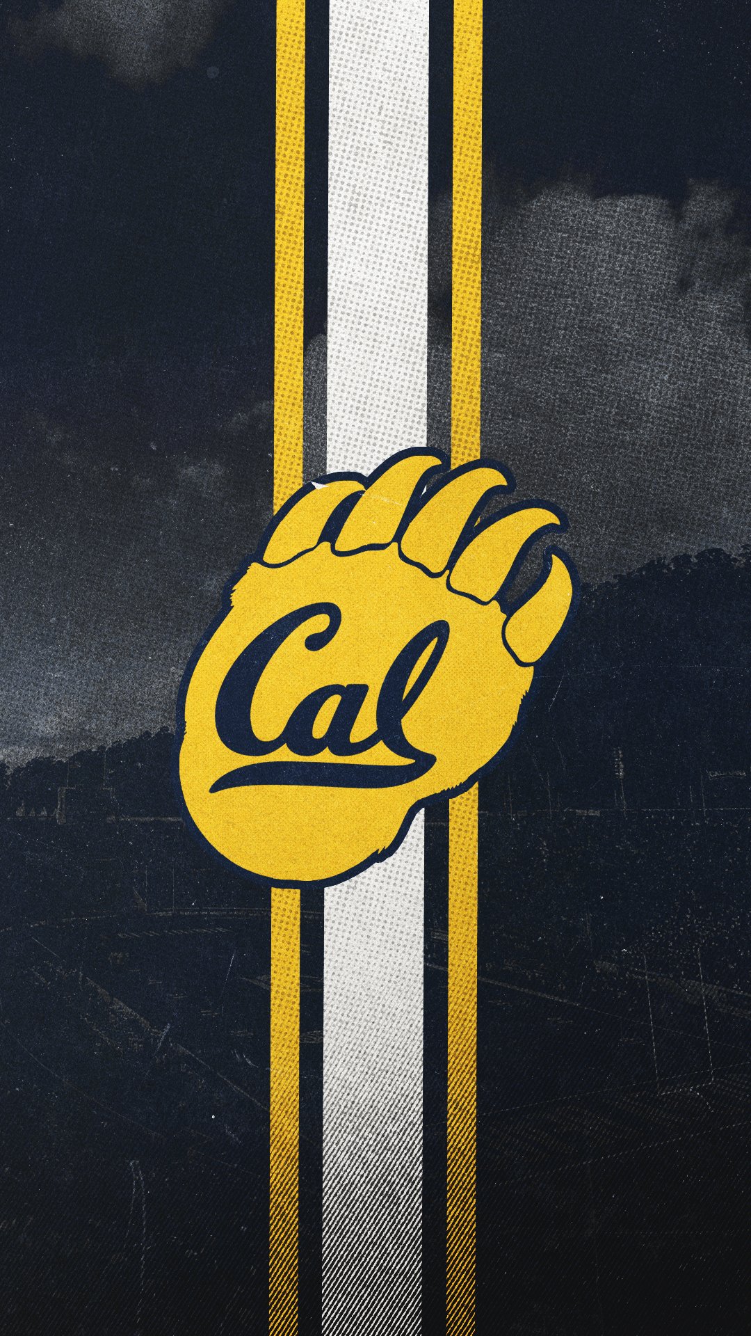Cal Bears Background 7 CAL BEAR Ideas | Cal Bears, Bear, Cal Golden