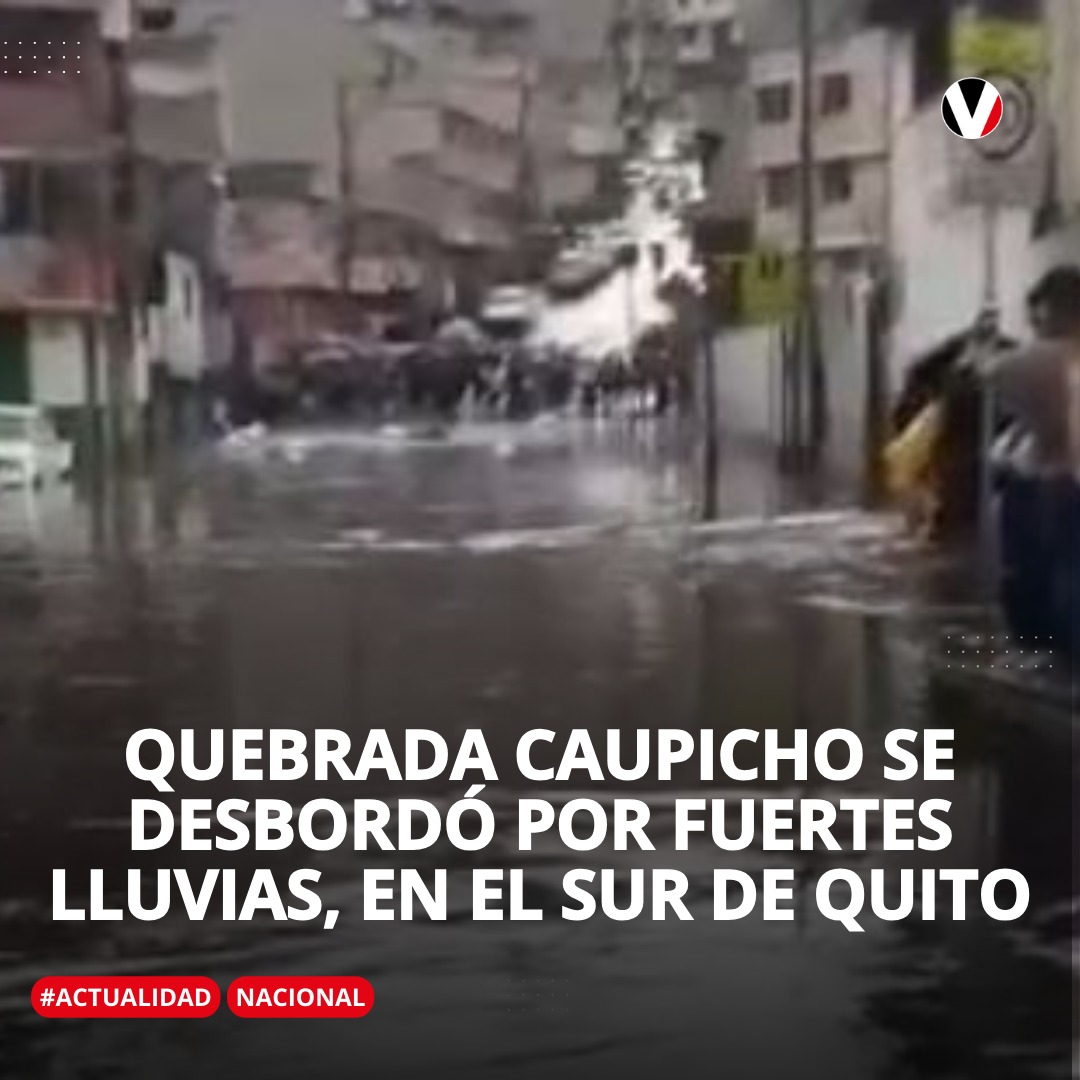 Memes Quito Inundado 🇦🇷 MEMES ARGENTINA 🇦🇷 | Consejo Del