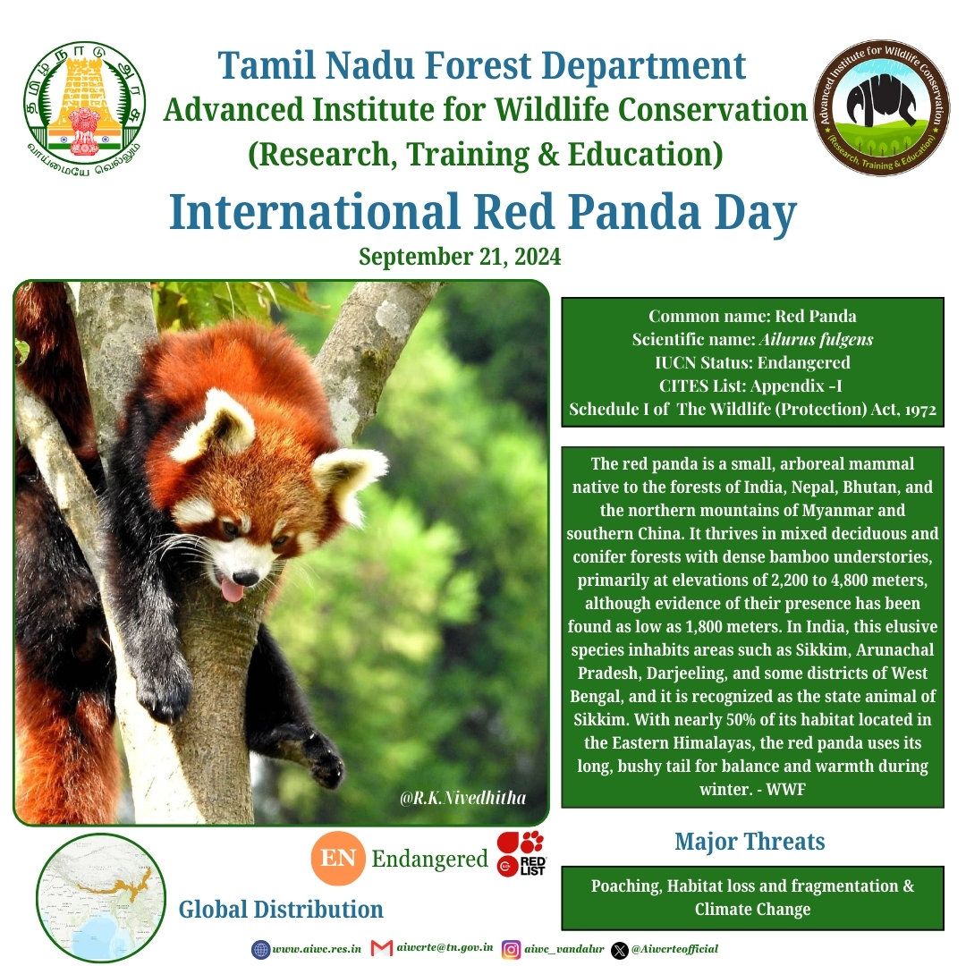 Red Panda Climate