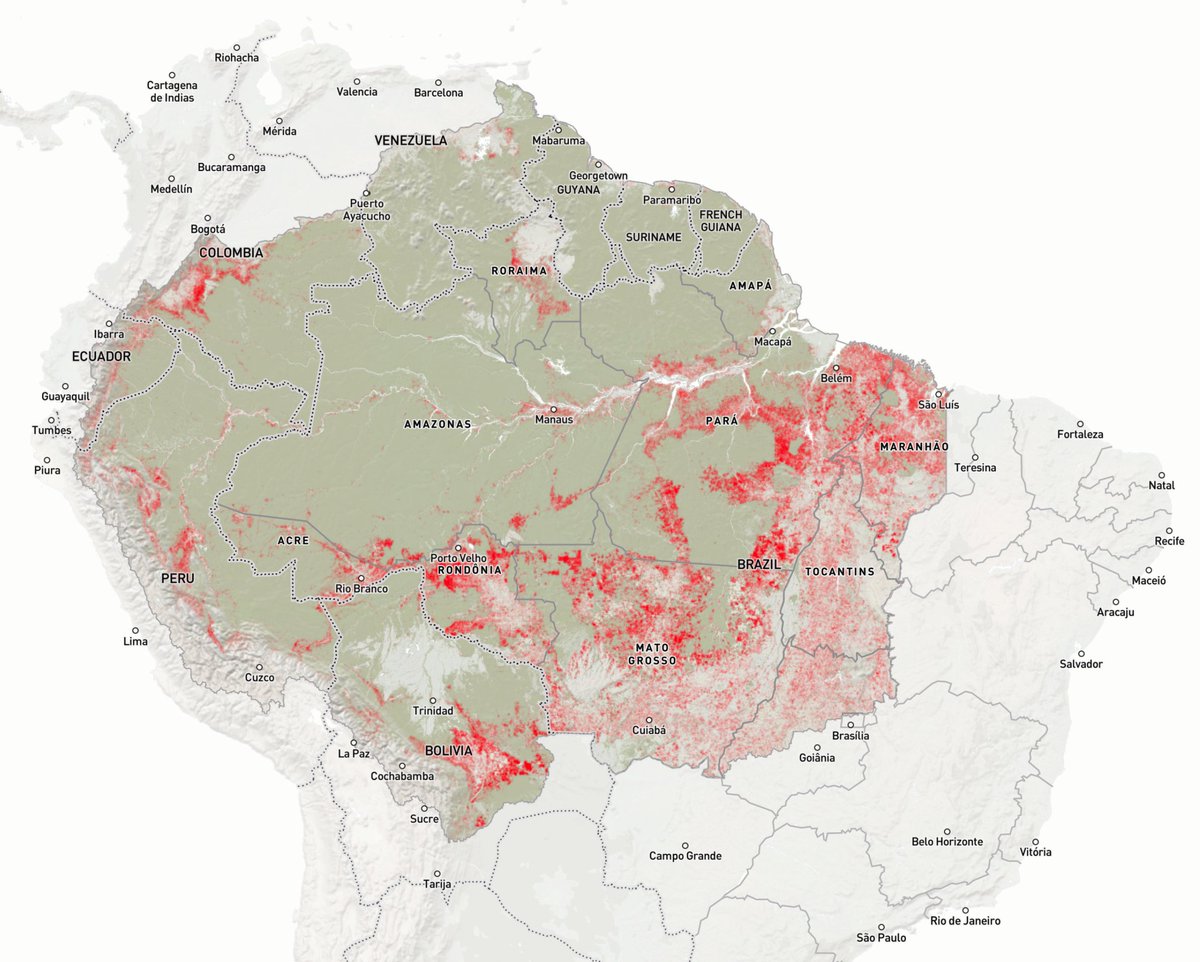 ¿Qué tan importante es la Amazonía para el sistema de abastecimiento y ...
