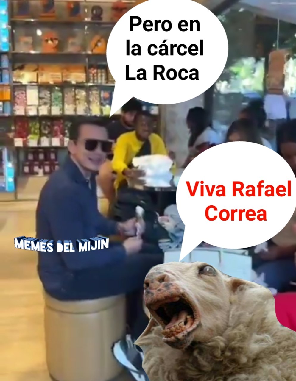 Memes Del Rafael Correa Extensión Del Periodo Presidencial Cartoons