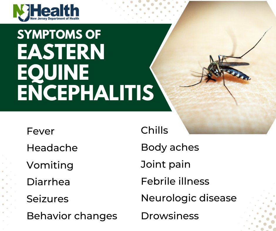 Encephalitis What Are The Symptoms And How Can It Be Autoimmune