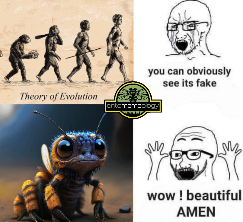 Entomology Memes