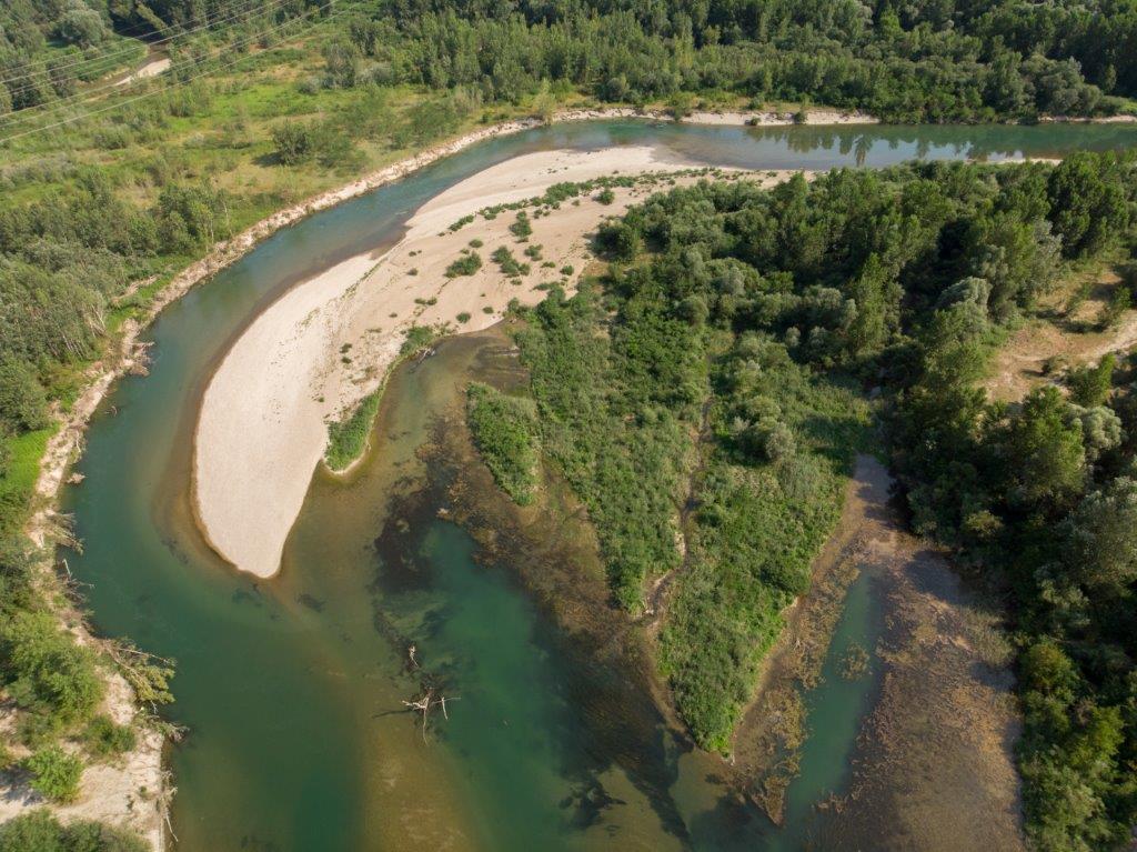 Astrid Schmidt-Kloiber @schmidtkloiber X Profile | Muskviewer