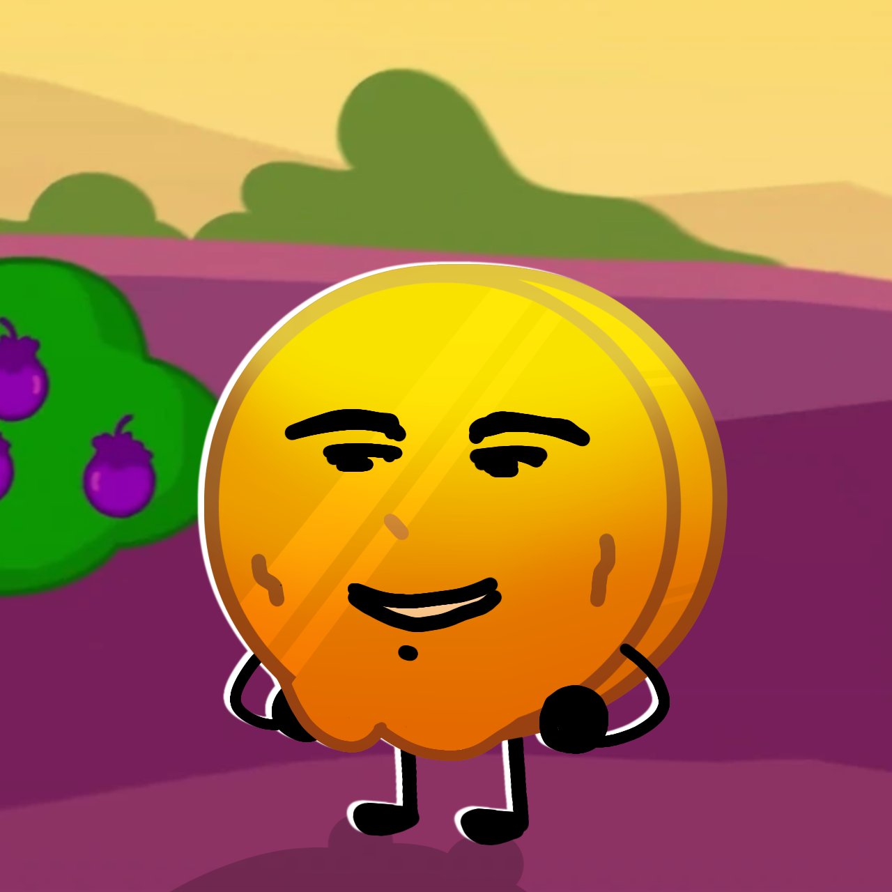 Coiny Bfdi