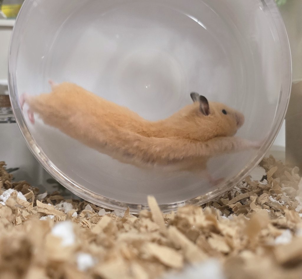 ネオン🦀美味しい酒のつまみ募集中🍶(@neon_ug) - Twilog (ツイログ)