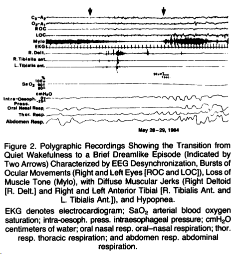 1/ In medical school, I remember being both fascinated and terrified by ...
